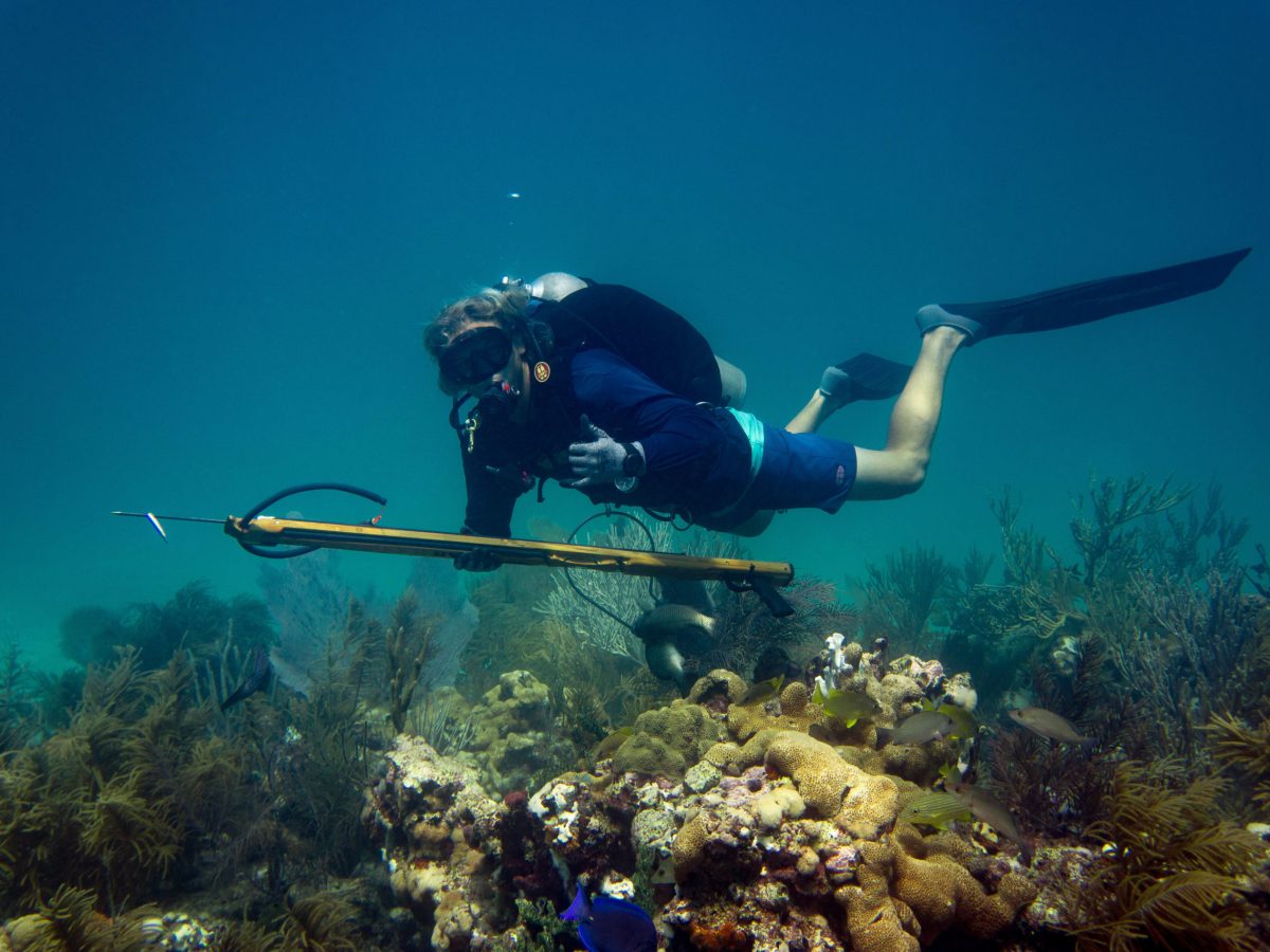 Islamorada Dive Center | Scuba Diving Tours in the Florida Keys