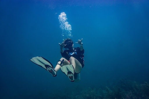 Afternoon Scuba and Snorkel Trips | Islamorada Dive Center, Florida