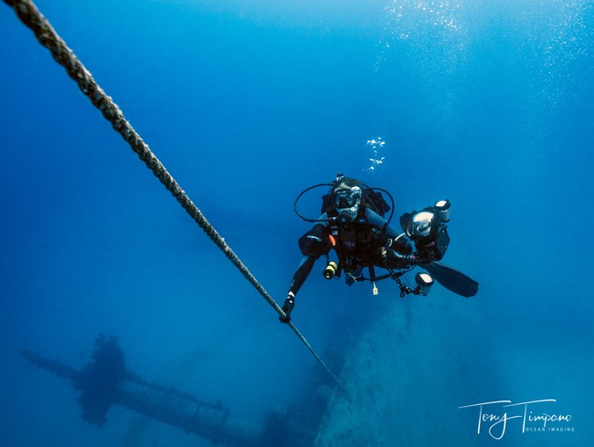 Morning Dive Trip | Islamorada Dive Center, Florida