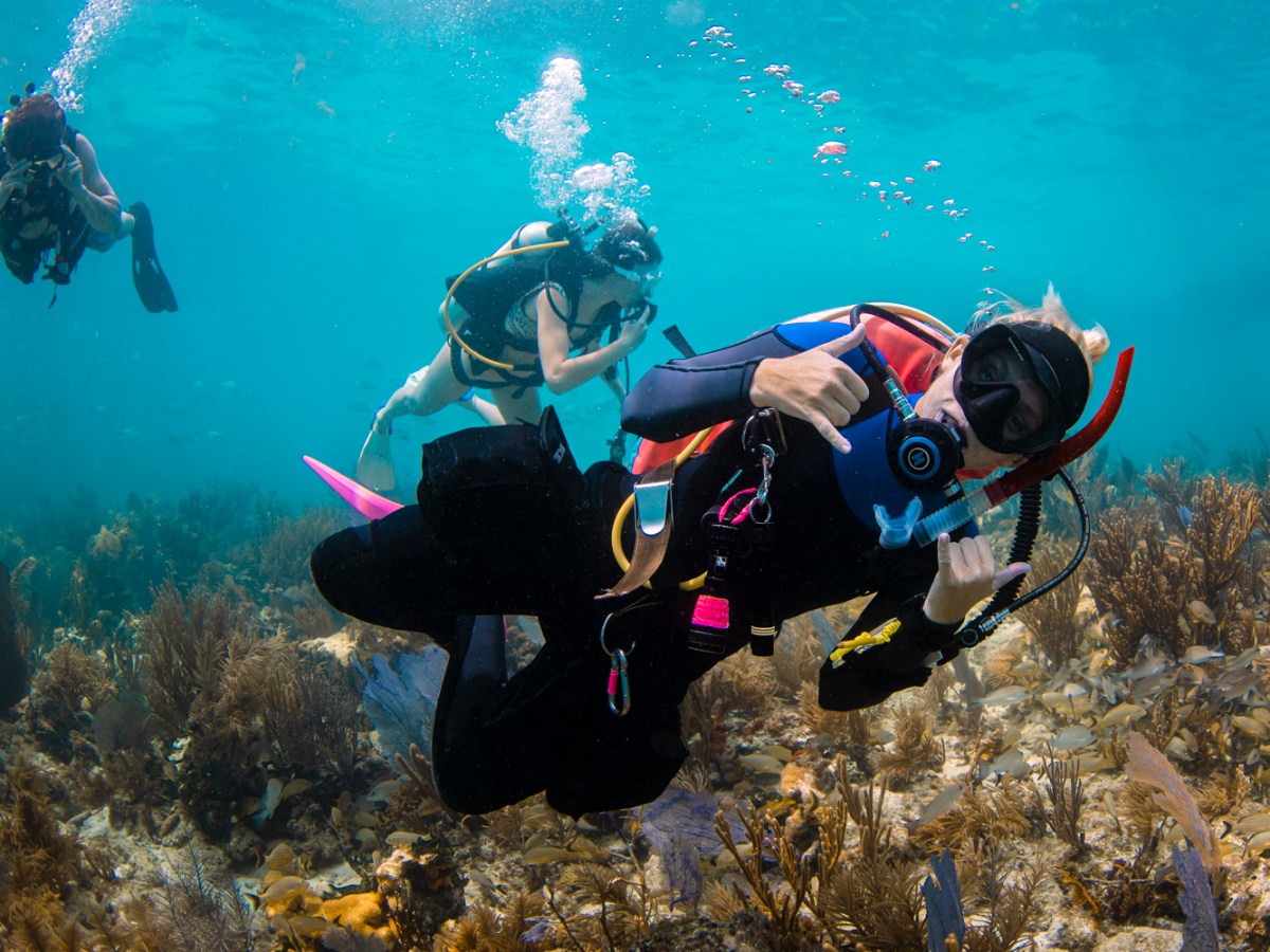 Islamorada Dive Center | Scuba Diving Tours in the Florida Keys