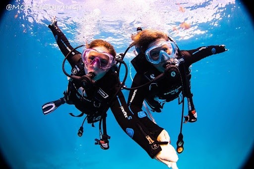 Open Water Certification | Islamorada Dive Center, Florida