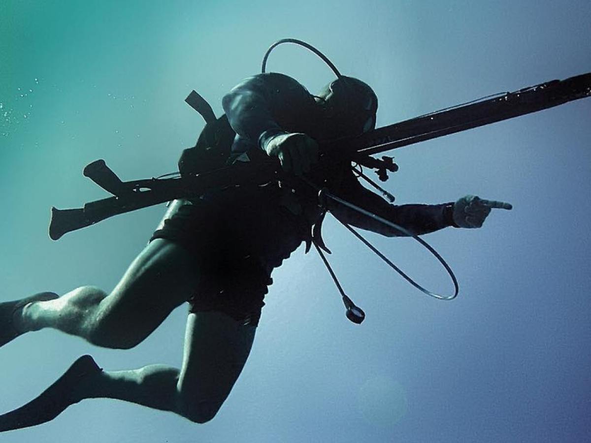 Islamorada Dive Center | Scuba Diving Tours in the Florida Keys