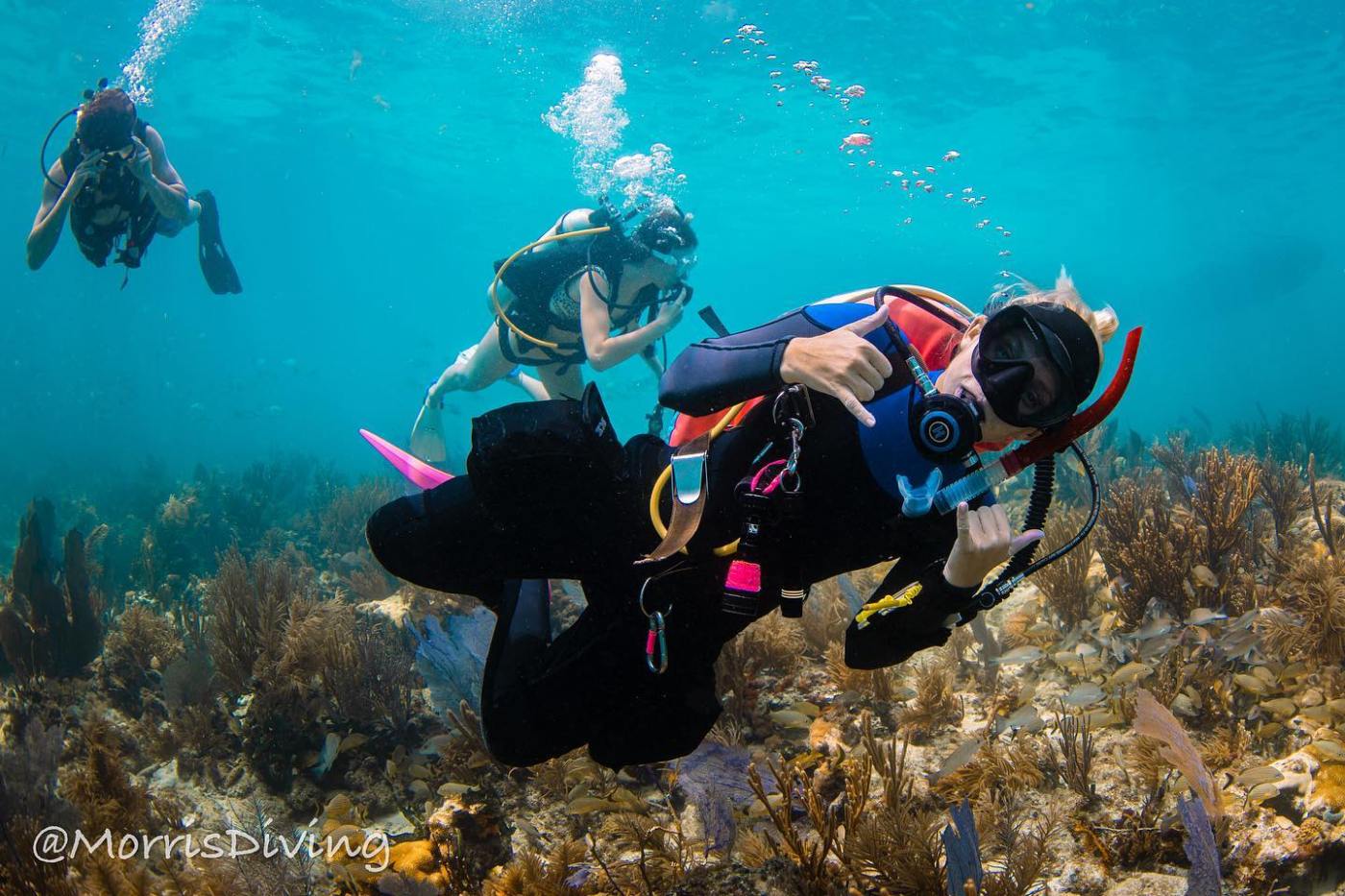 Scuba & Snorkel Charters | Islamorada Dive Center, Florida